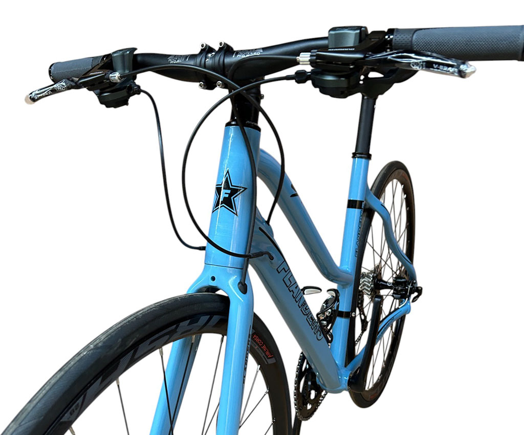 Flanders Sportfiets FLITE